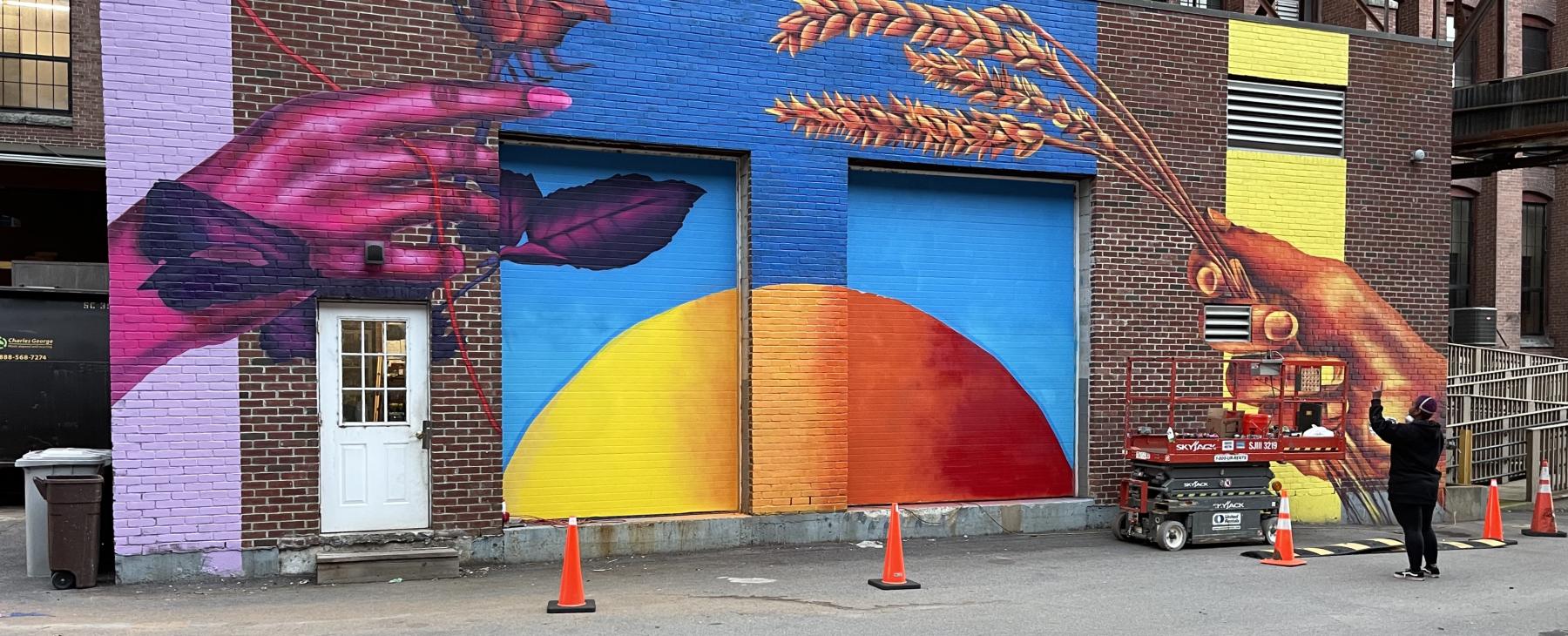 NEFA Communications Survey | NEFA